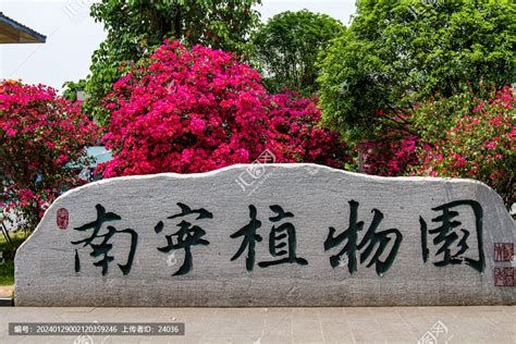 南宁植物园景观石 国内旅游景点 旅游景点 摄影素材 汇图网www huitu