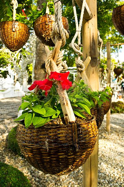 血花花植物香水压力老鼠植物群香味叶子精神植物学花瓣高清图片下载 正版图片321538280 摄图网