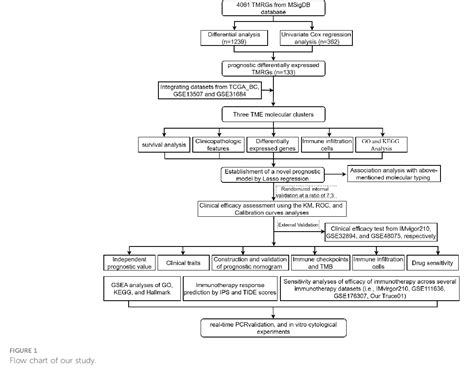 Figure 2 From Identification And Validation Of A Dysregulated Tme