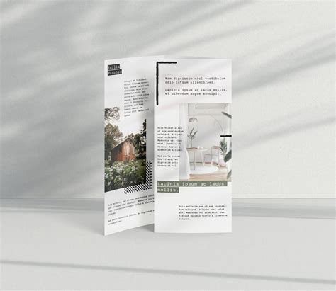 Tri Fold Brochure 12x9 Paper 1 Coated • Ceacle Mockup