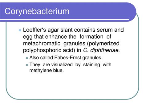 Ppt Corynebacterium Powerpoint Presentation Free Download Id 201783