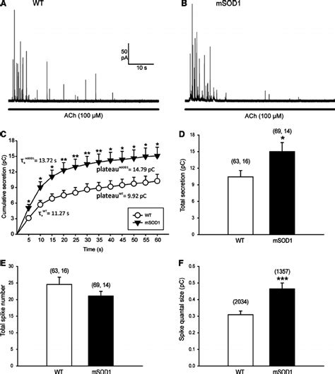 Catecholamine Blood Test Pots At Ina Pfarr Blog