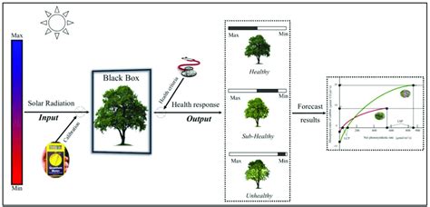 The Structure And Workflow Of The Digital Framework Download