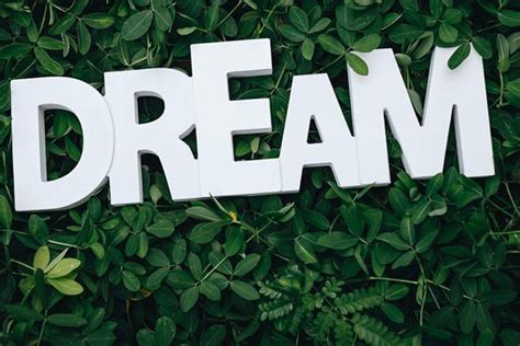 Integer是什么意思integer的意思integer的翻译integer怎么读integer的音标integer的发音integer翻译器integer的短语