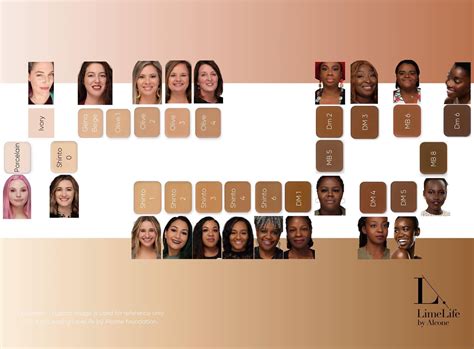 Color Matching Perfect Foundation Foundation Shades Chemical Free