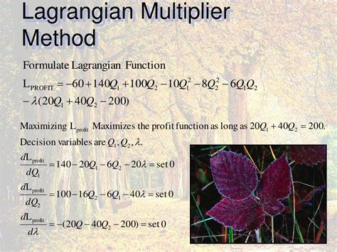 Ppt Calculus Based Optimization Agec 317 Economic Analysis For Agribusiness And Management