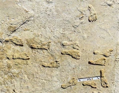Ancient Footprints White Sands New Mexico 23000 Years Old