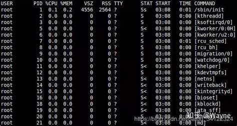 Linux进程之如何查看进程详情 知乎