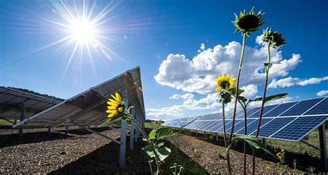 What Is Photovoltaics The Ultimate Guide To Understand The Basics Of