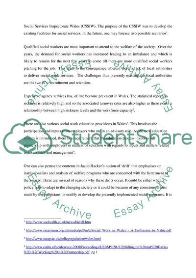 Social Work Welfare Agenda Essay Example Topics And Well Written