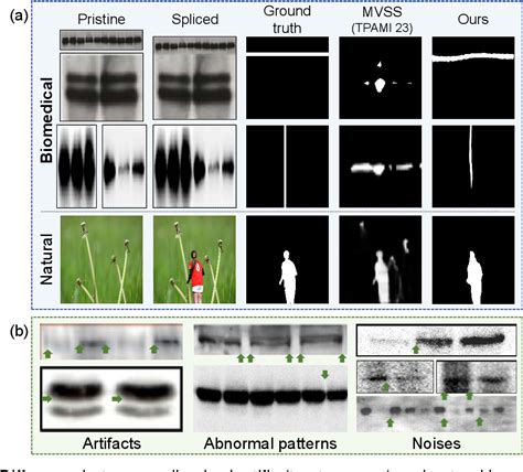Figure 1 From Exposing Image Splicing Traces In Scientific Publications