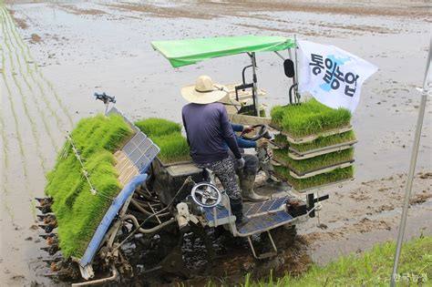분단의 땅에서 평화와 통일의 모를 심다