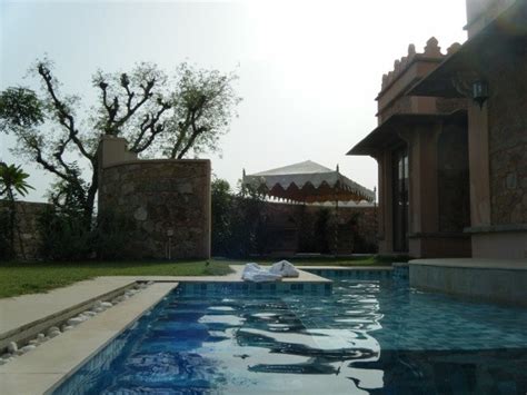 India Jaipur The Tree Of Life Tripatlas