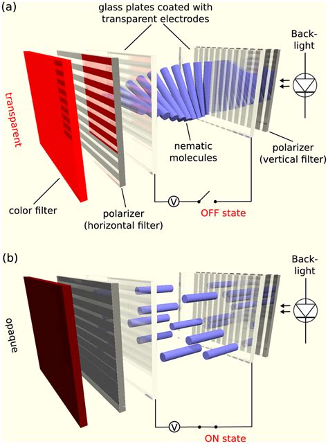 Principle Of Operation Of A Normally White Tn Lcd Panel When No