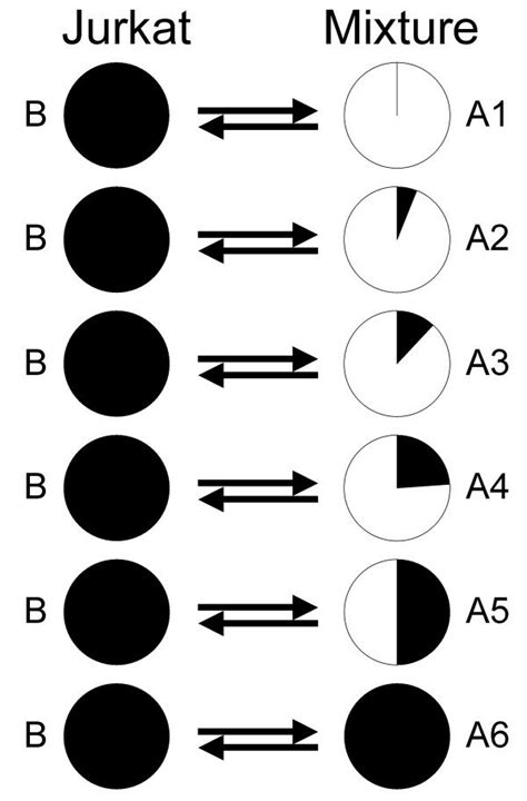 Design Of Experiment Download Scientific Diagram