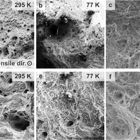 Se Micrographs Of Fracture Surfaces Of Specimens Deformed At A And D 295 Download Scientific