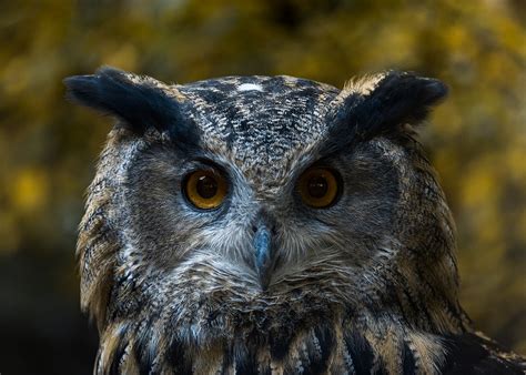 Wise Folder Hider 활용법 알아보자 뉴스정보 모음