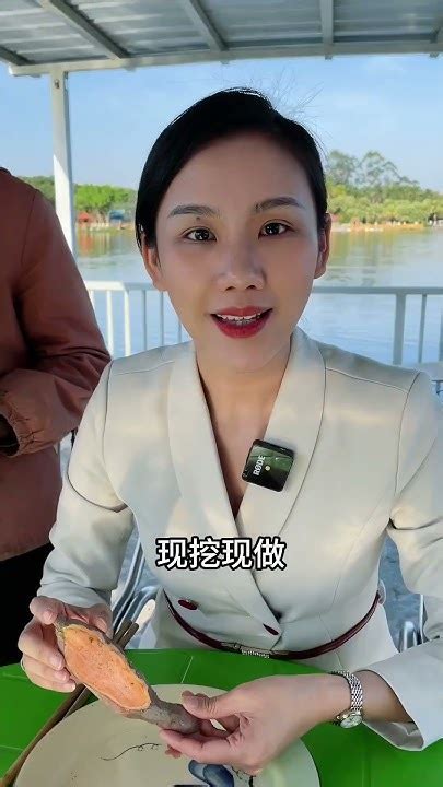 十万鹭鸟从头顶飞过，雀神太型了！肇庆沙浦镇鹭鸟生态园！乡村生活 小春姐 Youtube