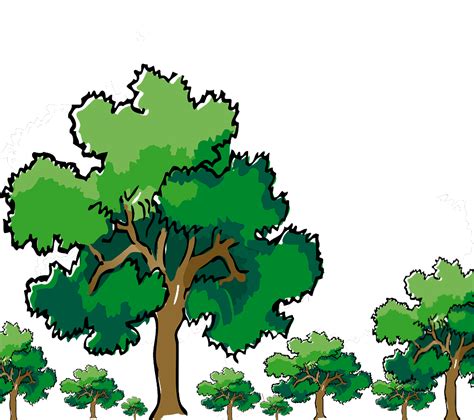 Más de ilustraciones de Arbol Roble y Roble gratis Pixabay