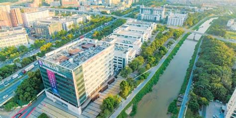 New University In Shenzhen 4 Highlights About Suat Shenzhen