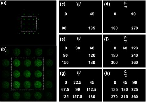 4 F Fourier Imaging System A Diffraction Orders Of The 2d Sinusoidal Download Scientific