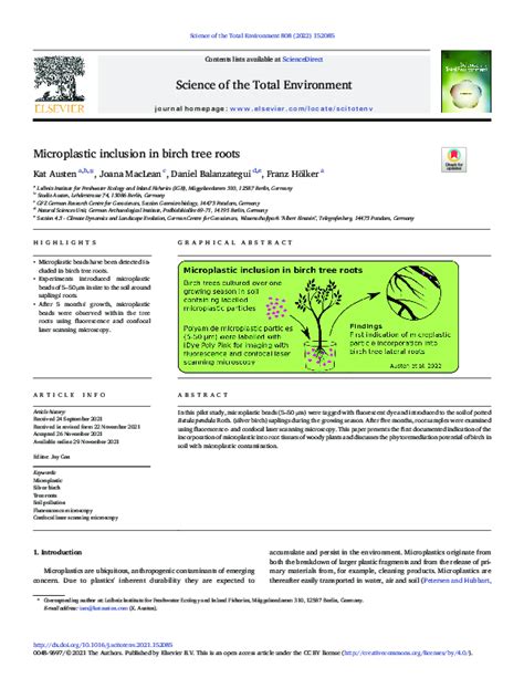 Pdf Microplastic Inclusion In Birch Tree Roots