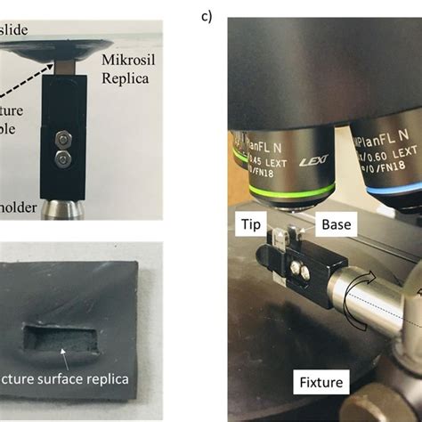 Replication Process And Imaging Of The Fracture Surface A Vertical Download Scientific