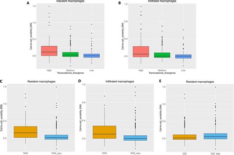 Cell To Cell Variability Analysis Of Human Renal Macrophages Download Scientific Diagram