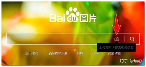 用它无损放大图片轻松提高图片清晰度 知乎
