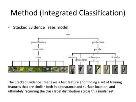 PPT Poselets Body Part Detectors Trained Using D Human Pose Annotations PowerPoint