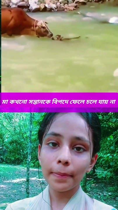 মায়ের মত আপন এই পৃথিবীতে দ্বিতীয় কেউ নেই Moviescores Funny