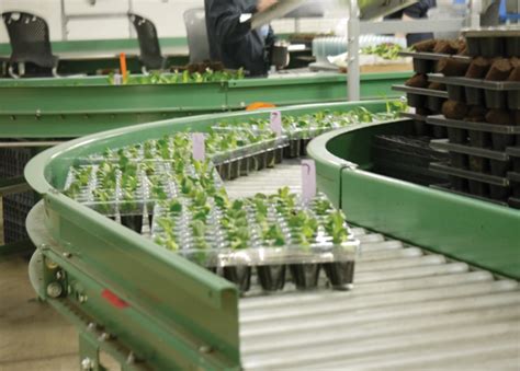 Greenhouse Automation Cultivating A Better Future Greenhouse Management