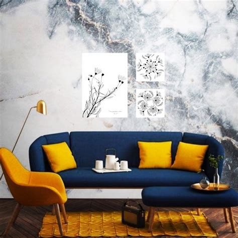 Alba Atrata Our Delightful Cape Marguerite Collection