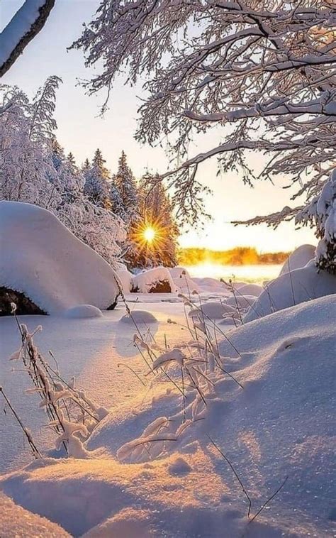 Sun Kissed Snow Rwinterporn