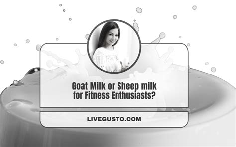 Goat Milk Compared To Sheep Milk Archives Live Gusto With Rohit