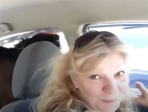 Mom Films Hilarious Moment German Shepherd Sees Hes At Vet And Not At Park