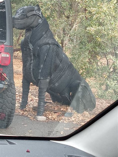 20221104 091422 Kevin Conner Flickr