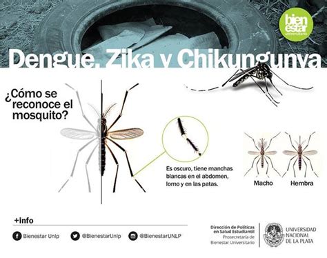 Campaña preventiva Contra el DENGUE ZIKA Y CHIKUNGUNYA
