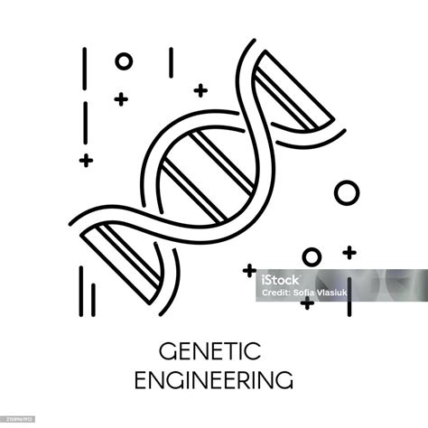 Genetic Engineering Dna Molecule Isolated Outline Icon Stock