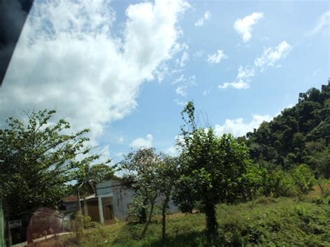 Img4508 Choco Cat ♥ Flickr