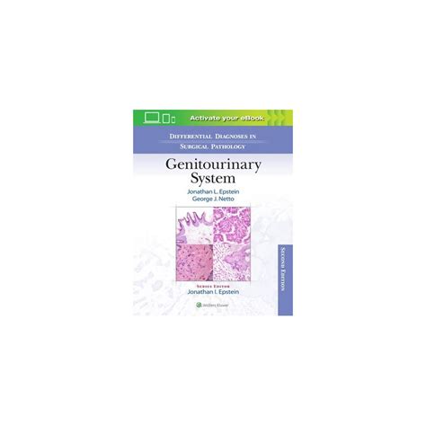 Differential Diagnoses In Surgical Pathology Genitourinary System