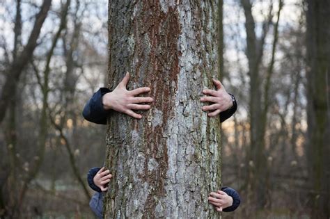 Premium Photo Dad And Babe Hugging A Tree In The Woods
