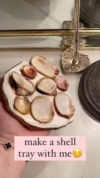 Shells Stickers Scraps On Instagram The Tiktok That Started It