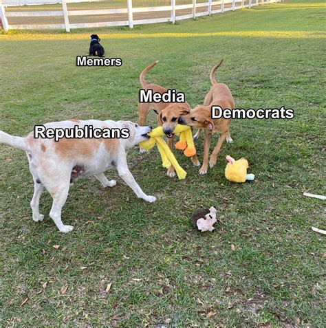 Catturd ™ On Twitter Imicaajywe Twitter