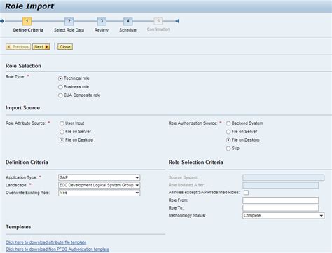 Role Import Issue Sap Community