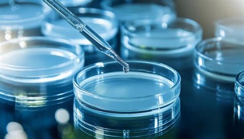 Close Up Of Lab Pipette With Sample Liquid Into Petri Dish Biomedical