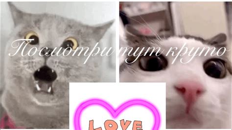 ПРОСТО КАЙФ СОВЕТУЮ всем Youtube