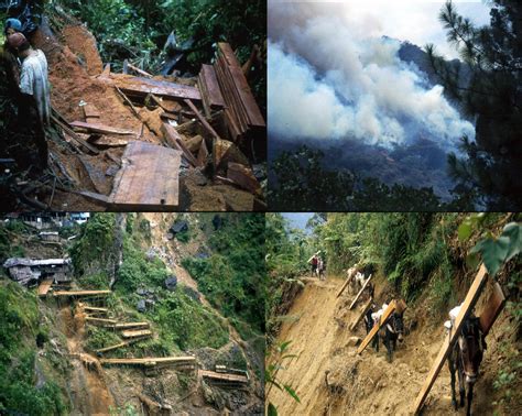 Madalbo La DestrucciÓn De La Biodiversidad Tiene Las Mismas Causas Que