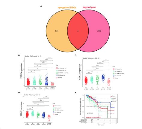 Expression And Prognosis Of Predicted Target Genes And Differentially