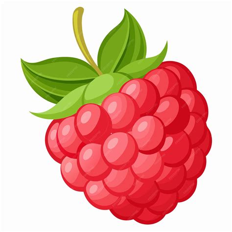 Raspberry Fruit Color Clip Art Vector Design Premium Ai Generated Vector